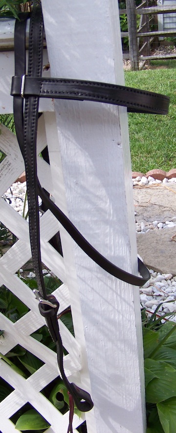 Draft Horse Western Bridles