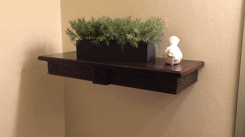 Concealed Storage Shelf